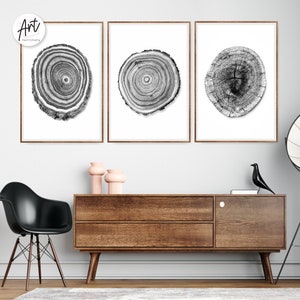 Tree Stump Wall Art Prints, Set of 3 Large Canvas Wall Decor - Etsy