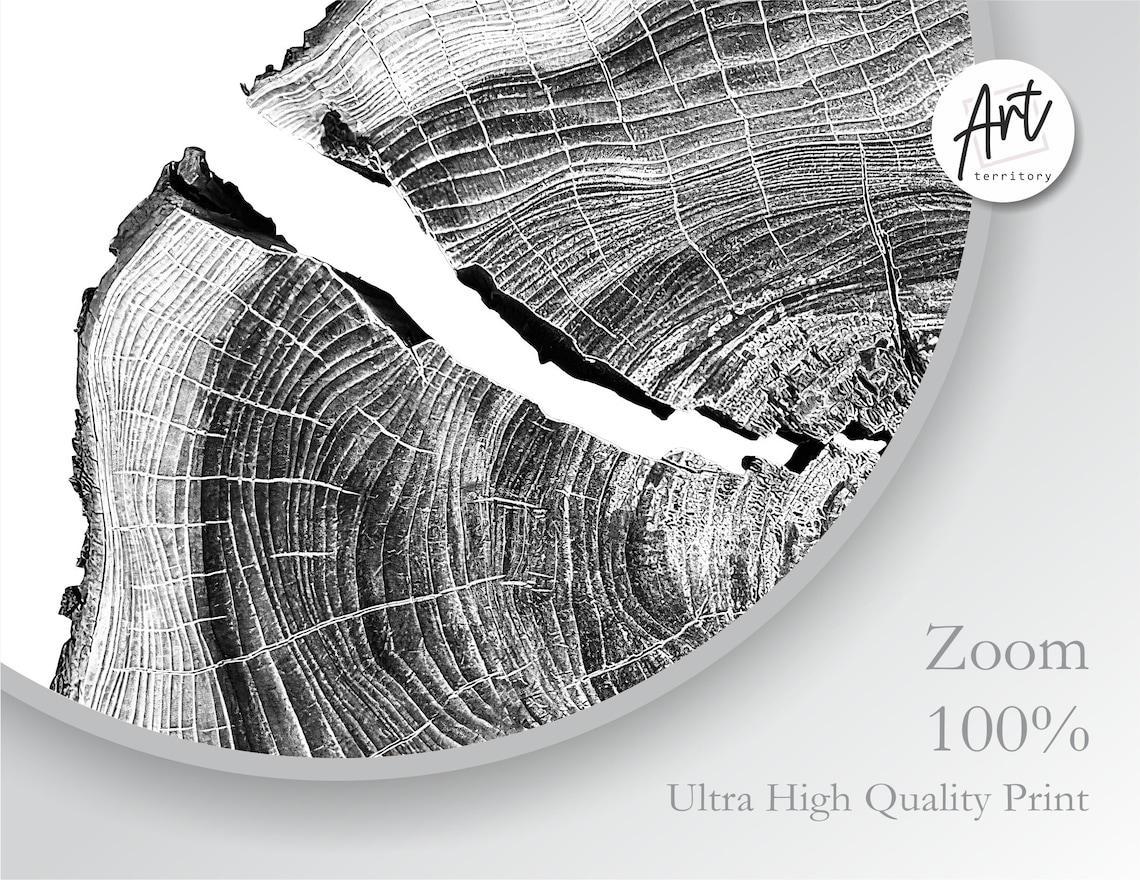 Tree Ring Prints Lake House Large Wall Art Posters - Etsy