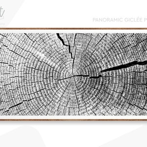 Extra Large Tree Ring Horizontal Poster, Canvas Wall Art, Linocut Print ...