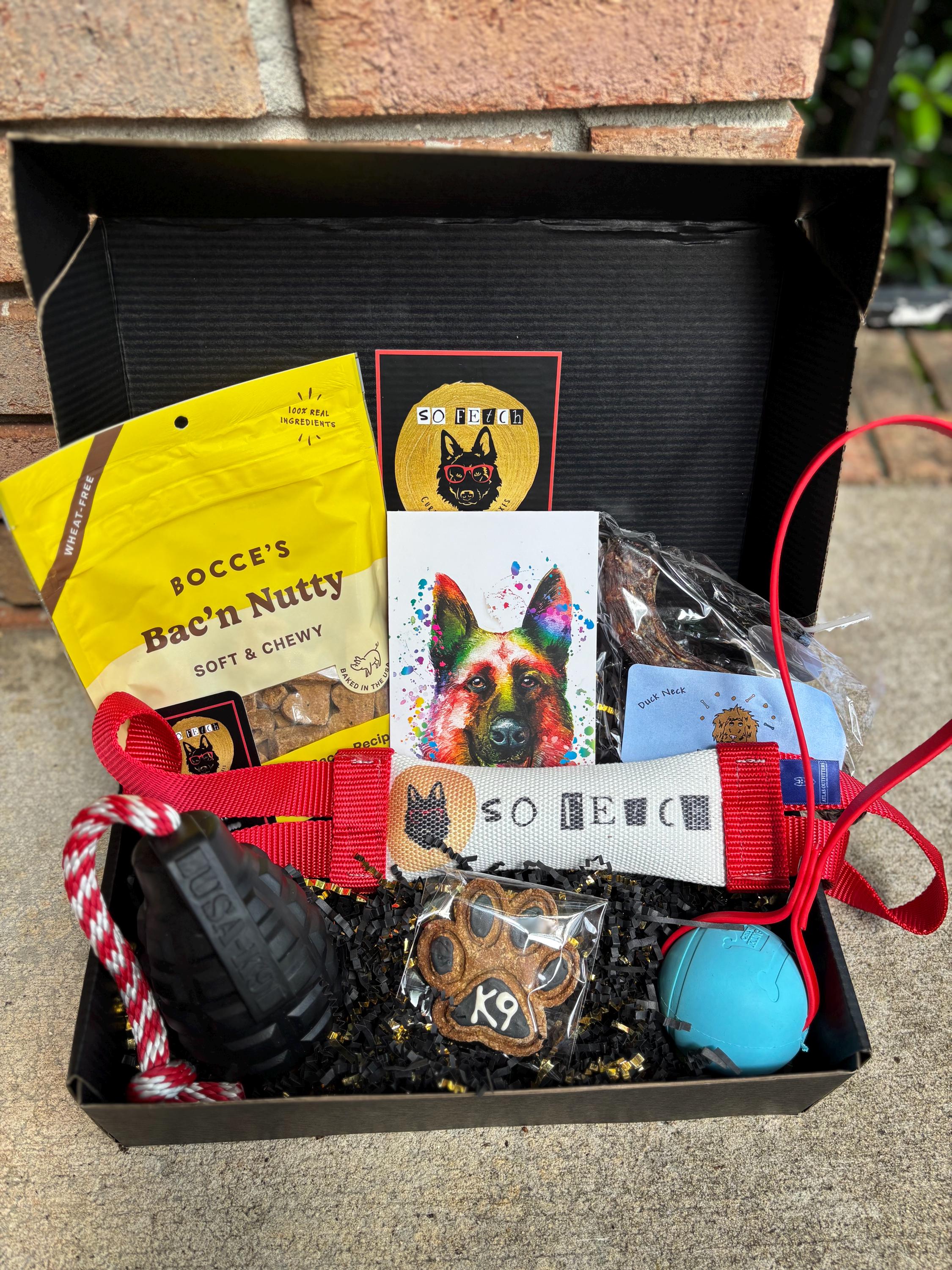 K9 Valor Dog Gift Box: Tough Toys & Treats, Supports Military/police ...