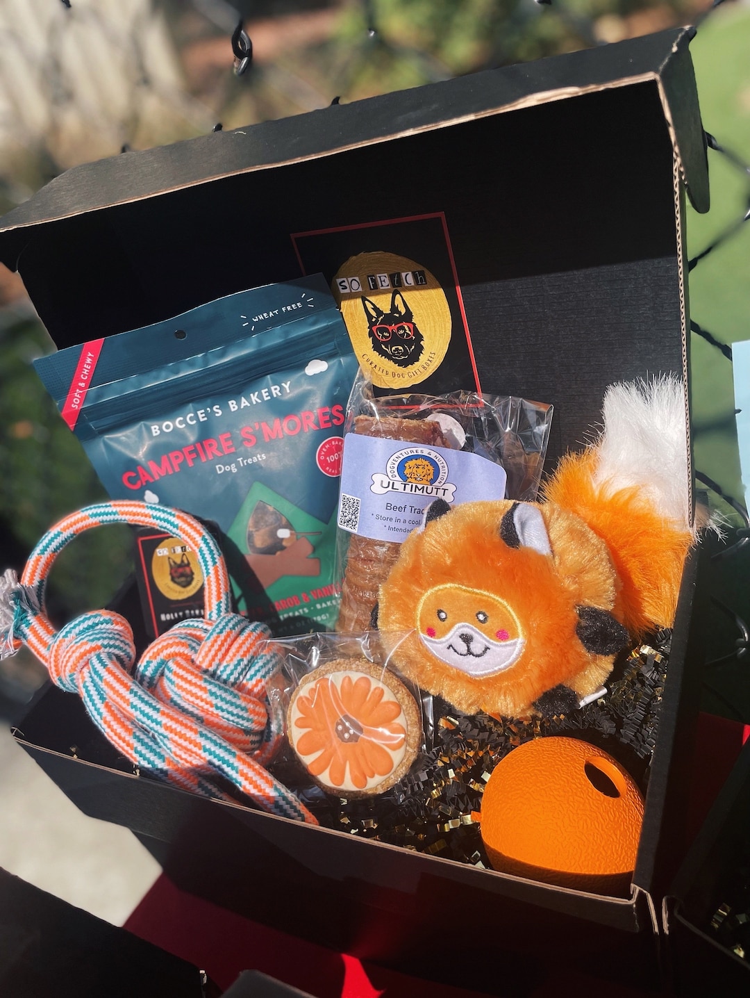 So Fetch Just Because Dog Gift Box Dog Gift Basket Gifts for Dog - Etsy