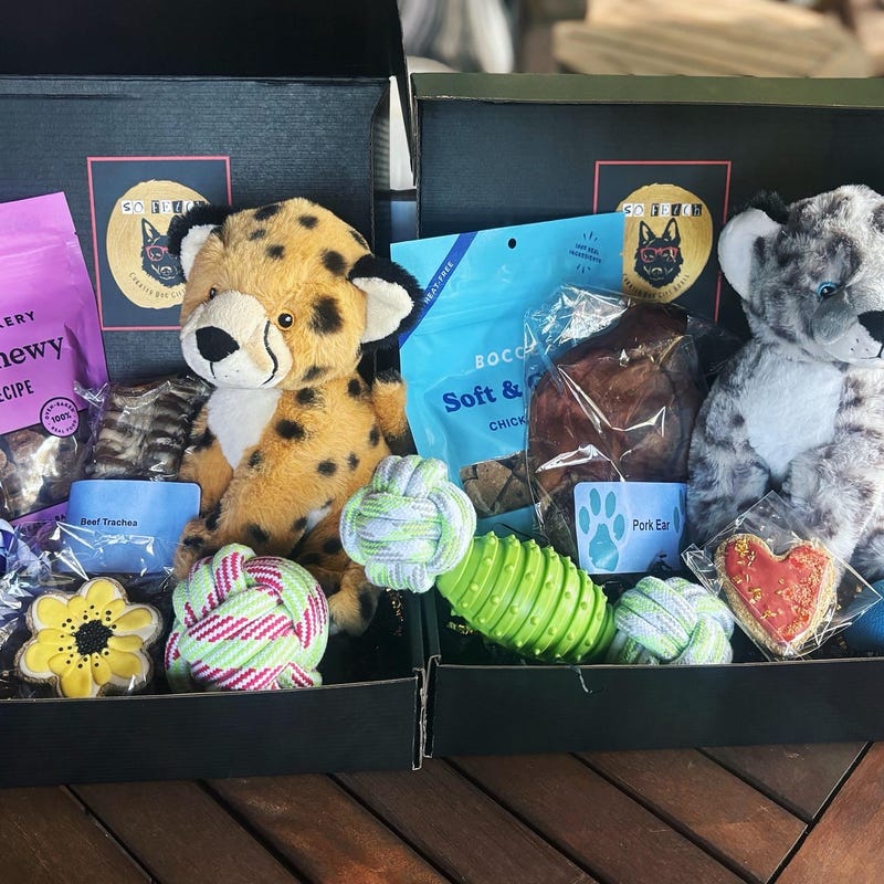 Dog Gift Box - 60+ Gift Ideas for 2025