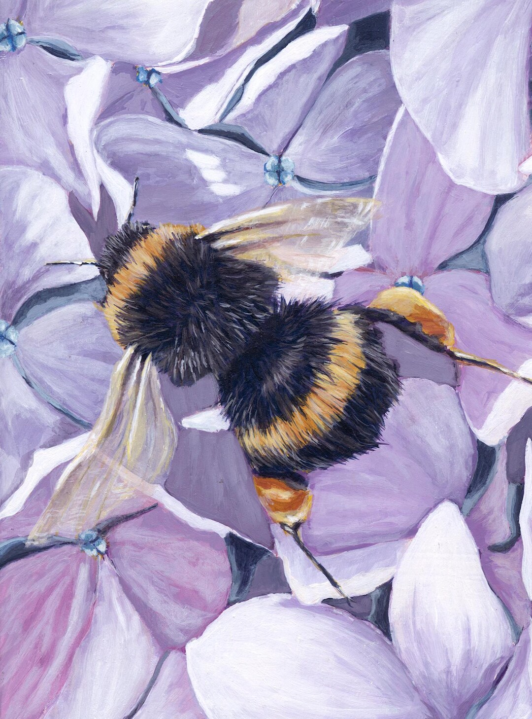 Hydrangea Bee 8x10 - Etsy