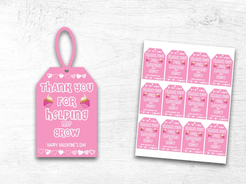 Valentine Day Gift Tags, Teacher Valentine Gift, Valentine Tags ...