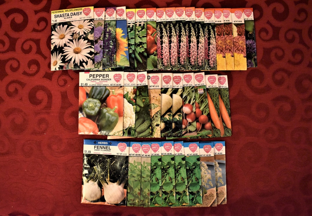 Vintage Seed Packets by the Chas. C. Hart Seed Co. Wetherfield, Conn - Etsy