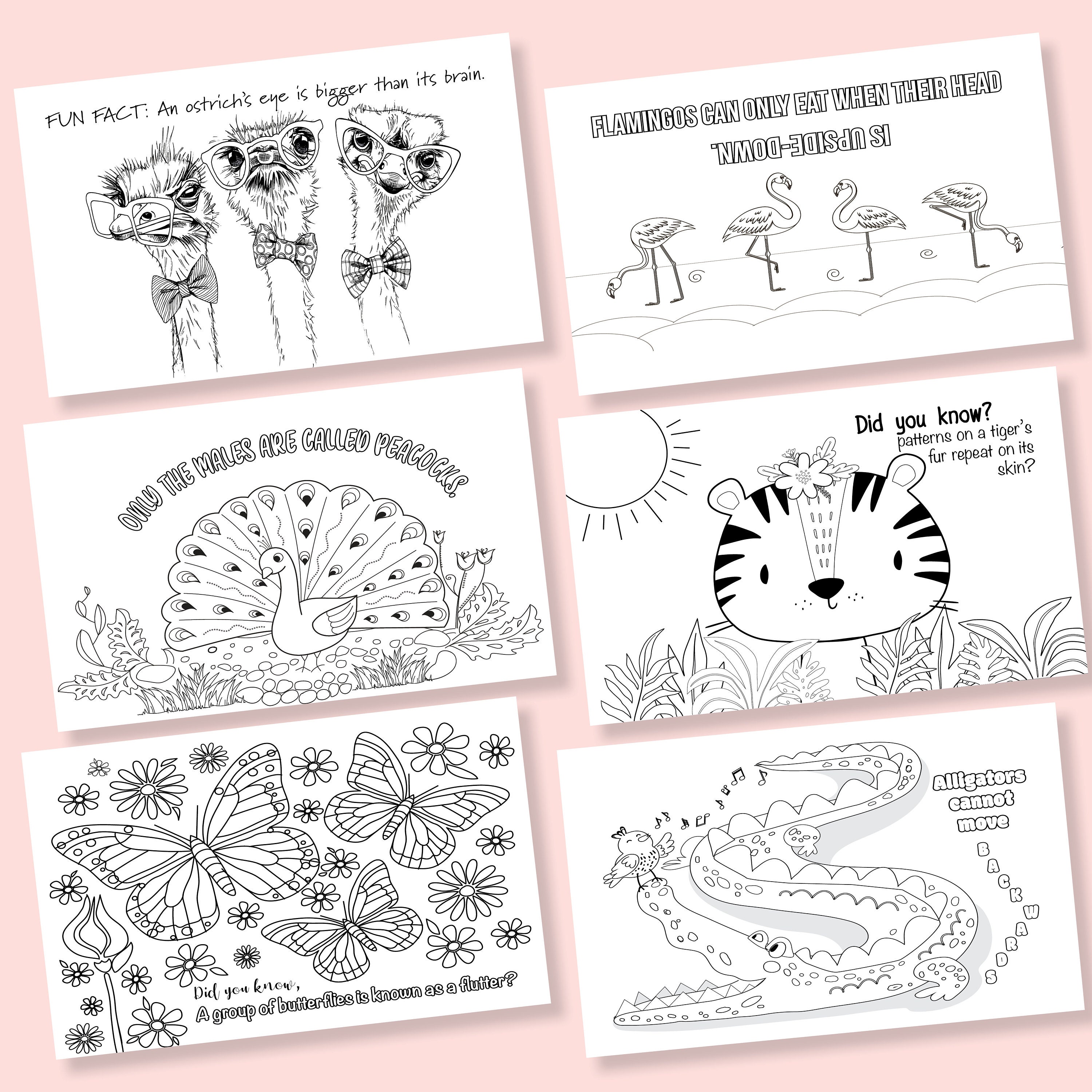 Printable Animal Fun Fact Coloring Book Pages L 25 Different Designs L ...
