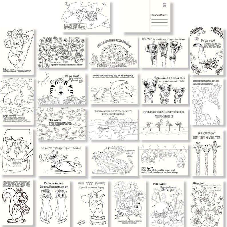 Fun Fact Postcards for Kids to Color - Etsy