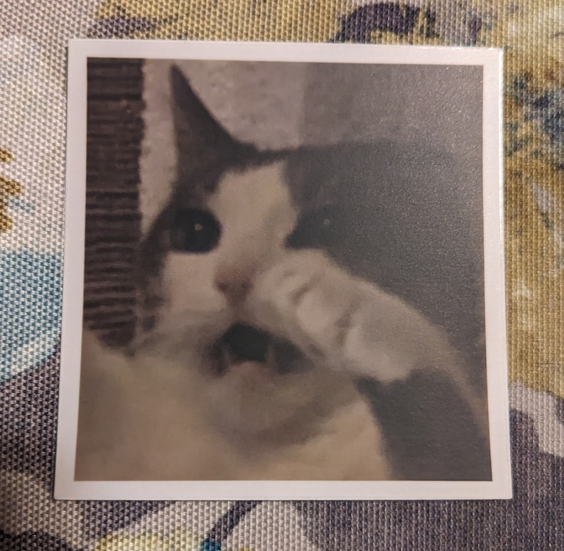 Simon Meme Cat Sticker - Etsy