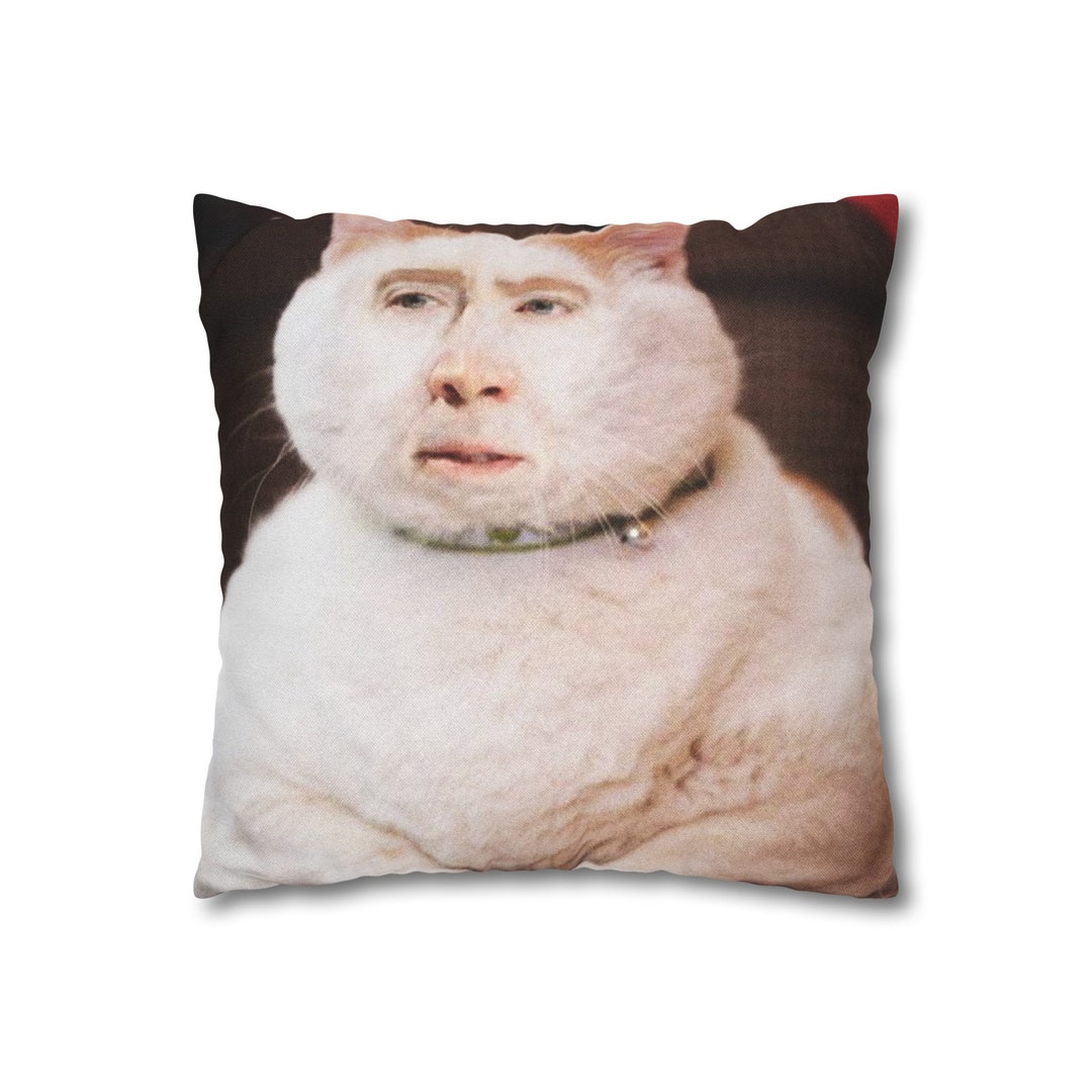 Nicolas Cage Pillow, Nicolas Cage Cat Pillow, Nicolas Cage Home Decor ...
