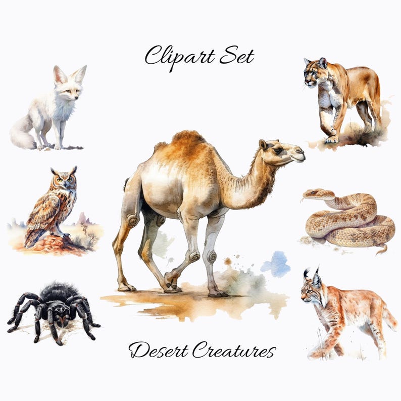 Desert Creatures , Wildlife, Animals Watercolor Clipart Bundle Digital ...