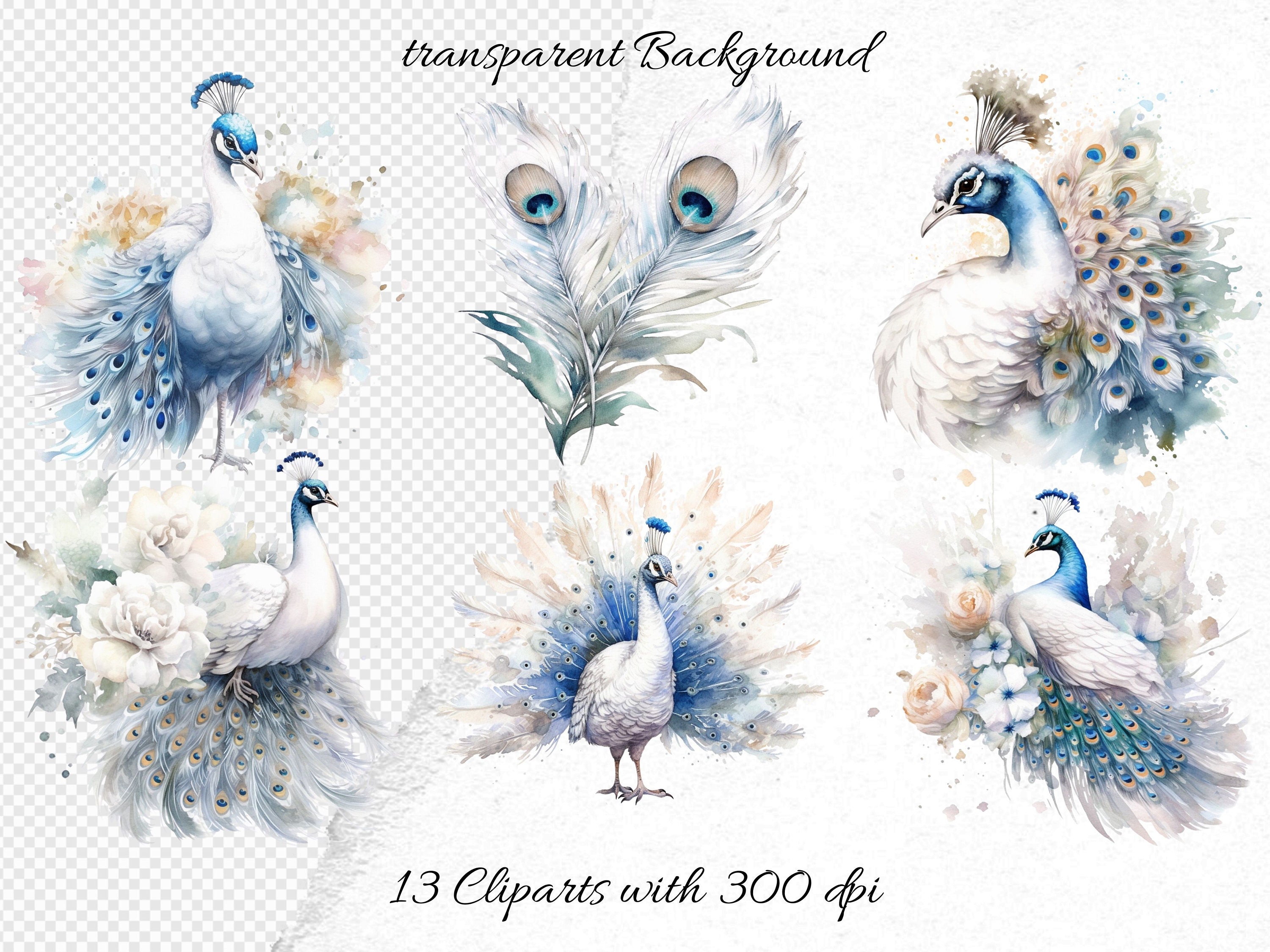 White Peacock, Wildlife, Tropical Animals Watercolor Clipart Bundle ...