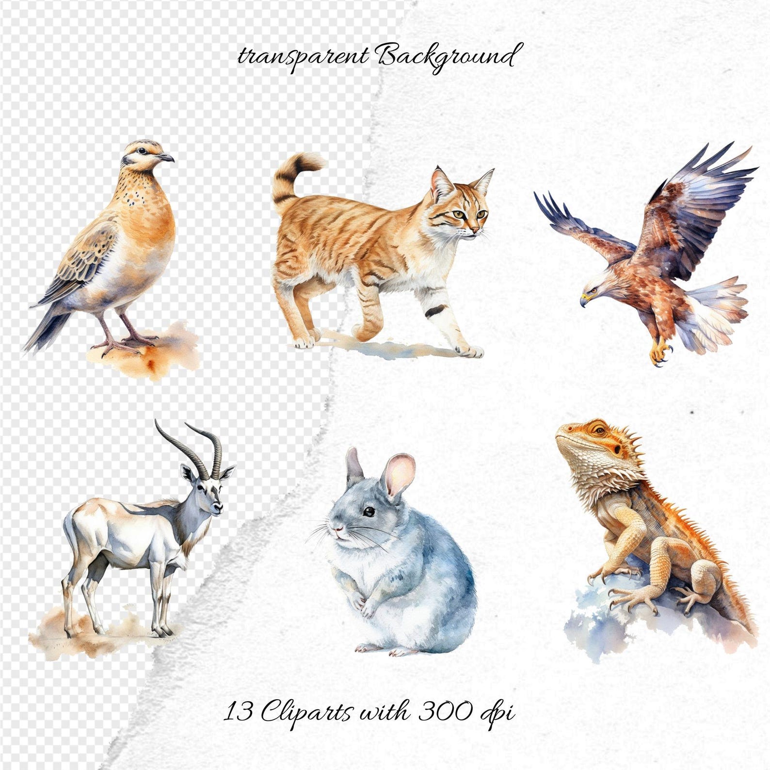 Desert Creatures , Wildlife, Animals Watercolor Clipart Bundle ...