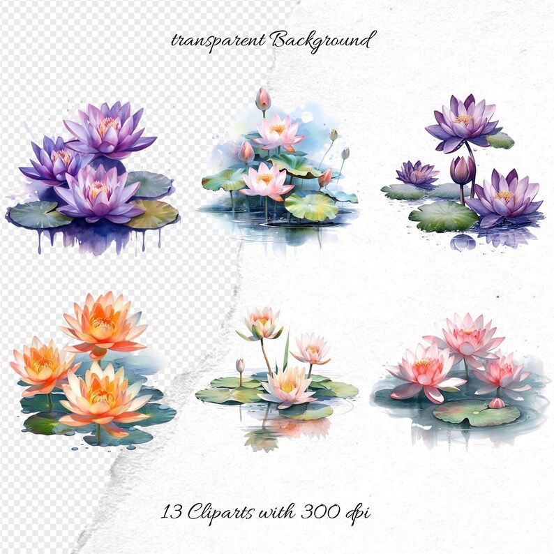 Water Lily, Lotus , Flowers Watercolor Clipart Bundle Digital Download ...