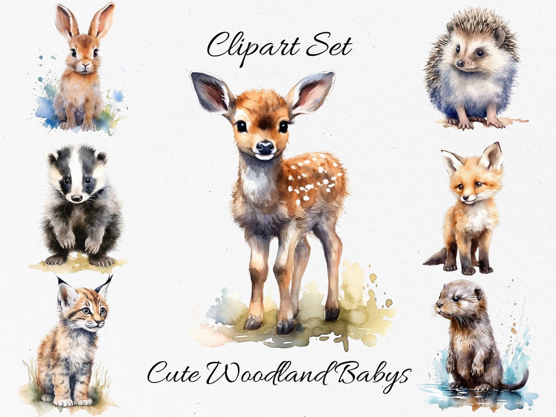 Cute Woodland Baby Animals, Wildlife Watercolor Clipart Bundle ...
