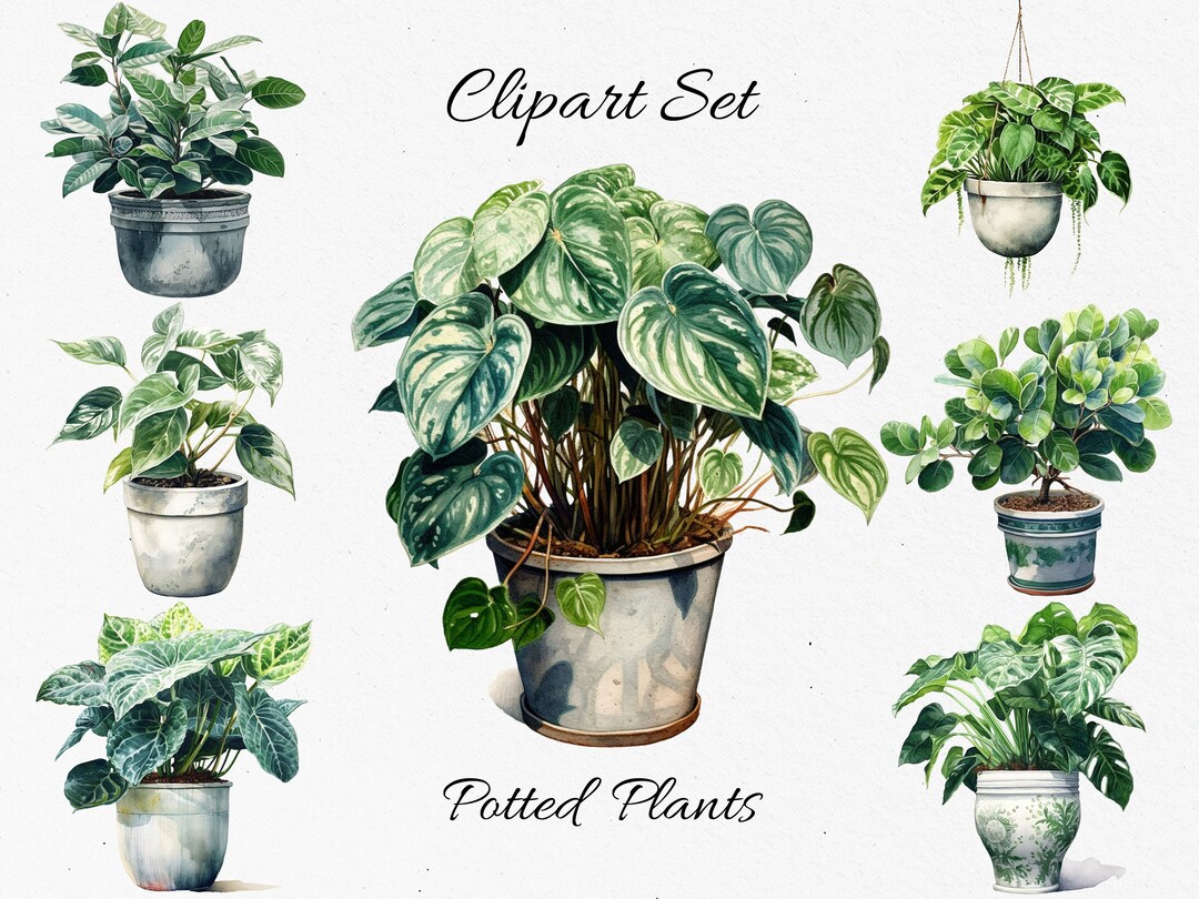 Potted Plants Watercolor Clipart Bundle Digital Download, Scrapbook ...
