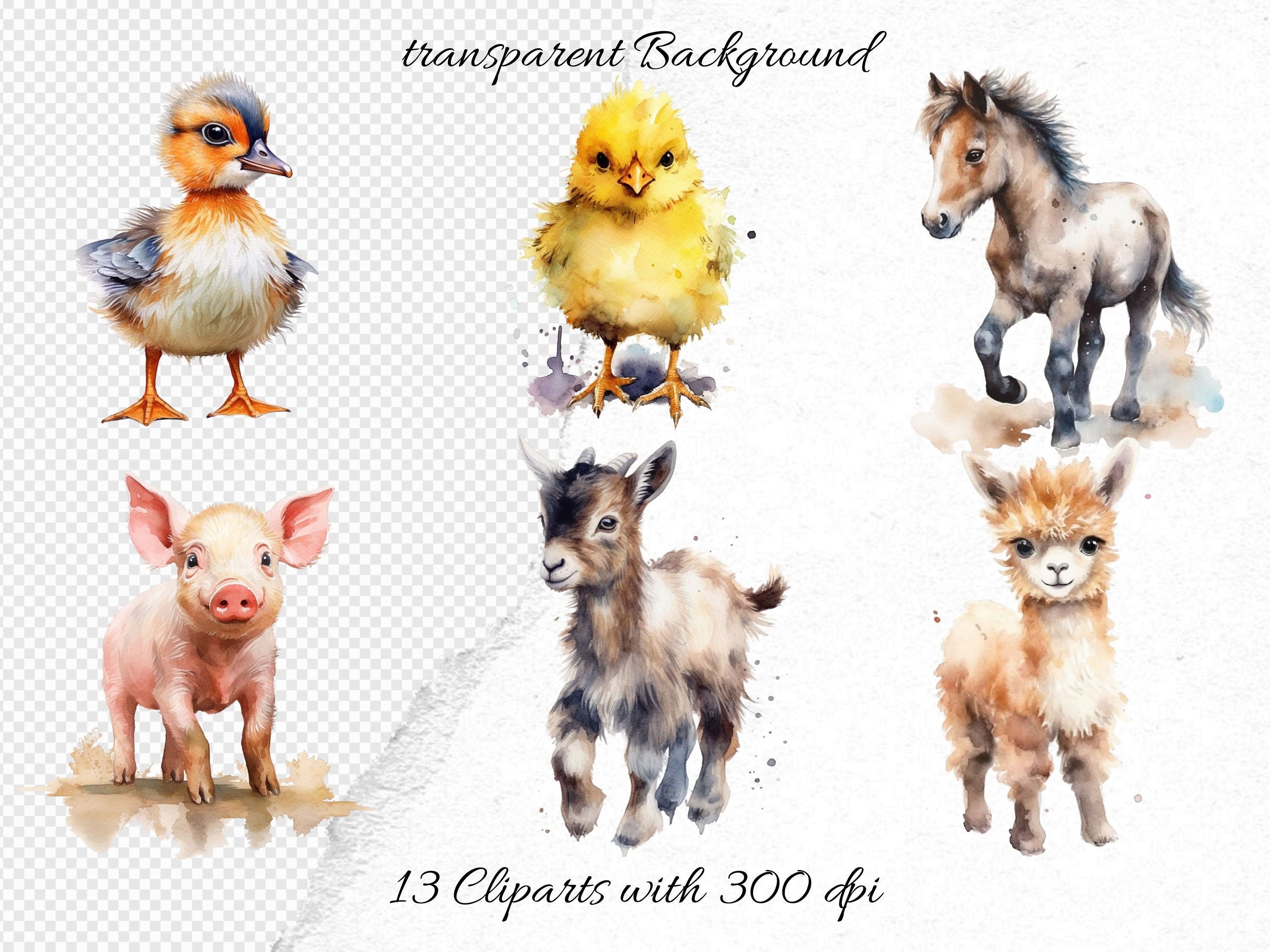 Cute Barn Baby Animals, Farm Animals Watercolor Clipart Bundle Digital ...