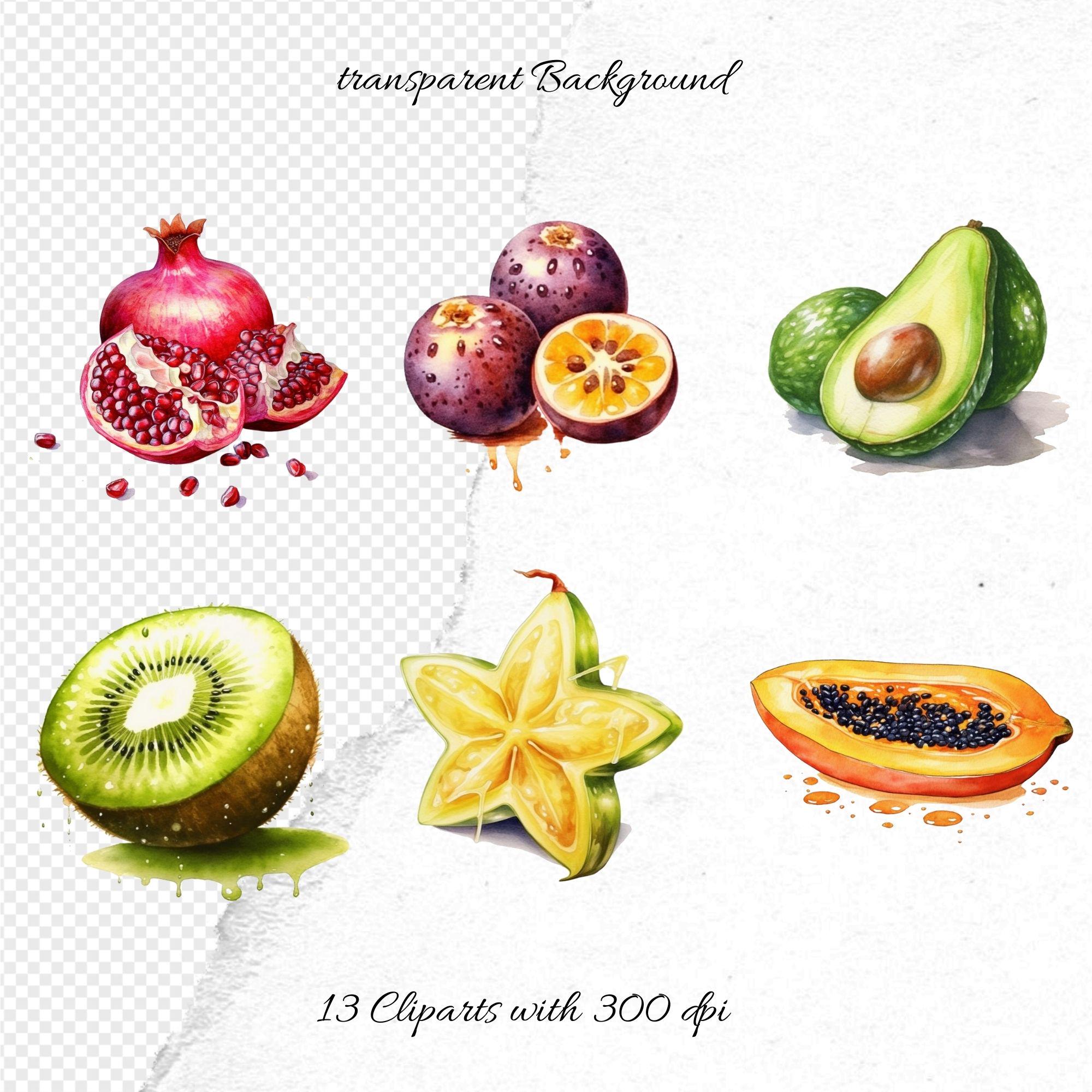 Tropical Fruit , Food , Watercolor Clipart Bundle - Digital Download ...