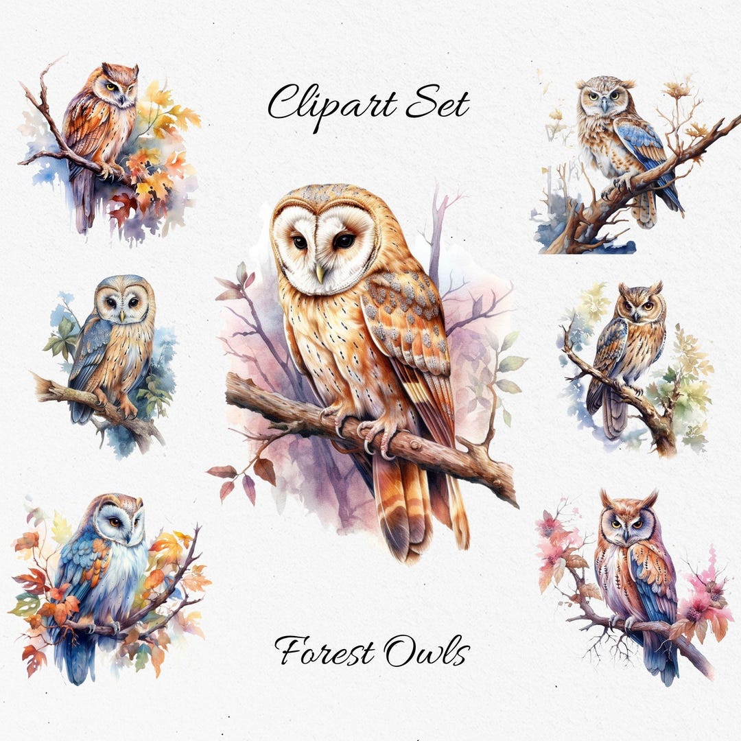 Forest Owls , Watercolor Clipart Bundle - Digital Download, Scrapbook ...