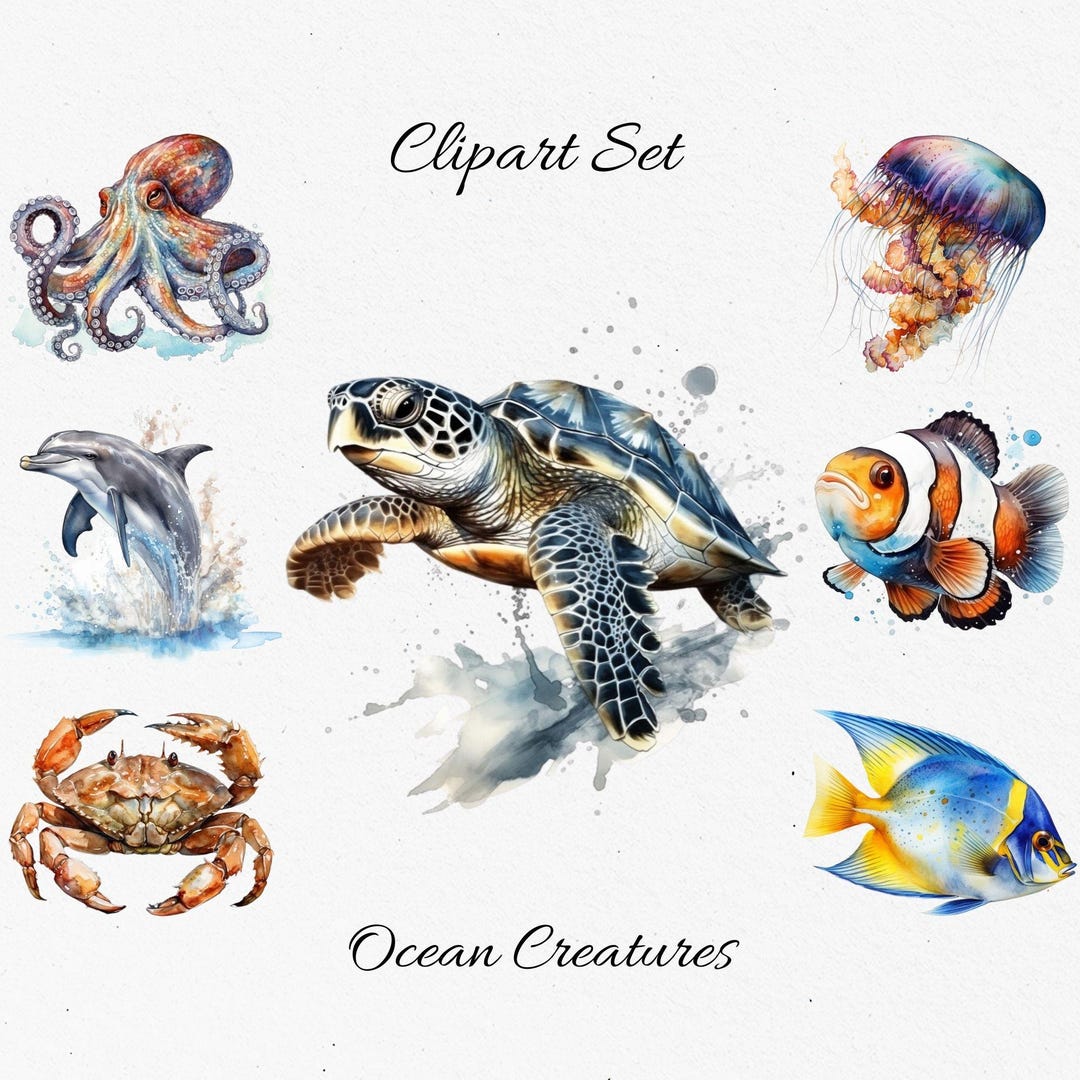 Ocean Creatures, Marine Wildlife, Animals Watercolor Clipart Bundle ...