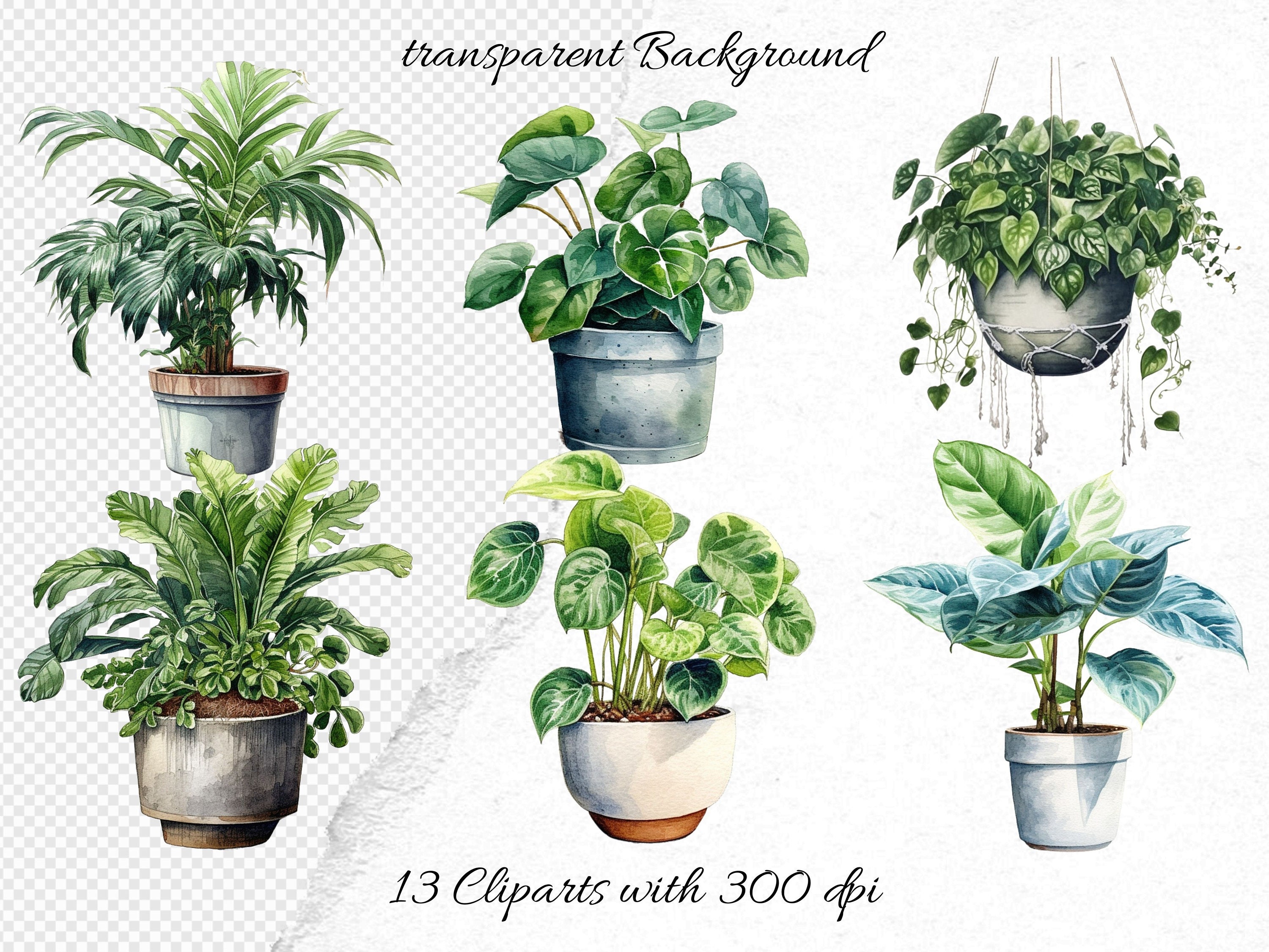 Potted Plants Watercolor Clipart Bundle Digital Download, Scrapbook ...
