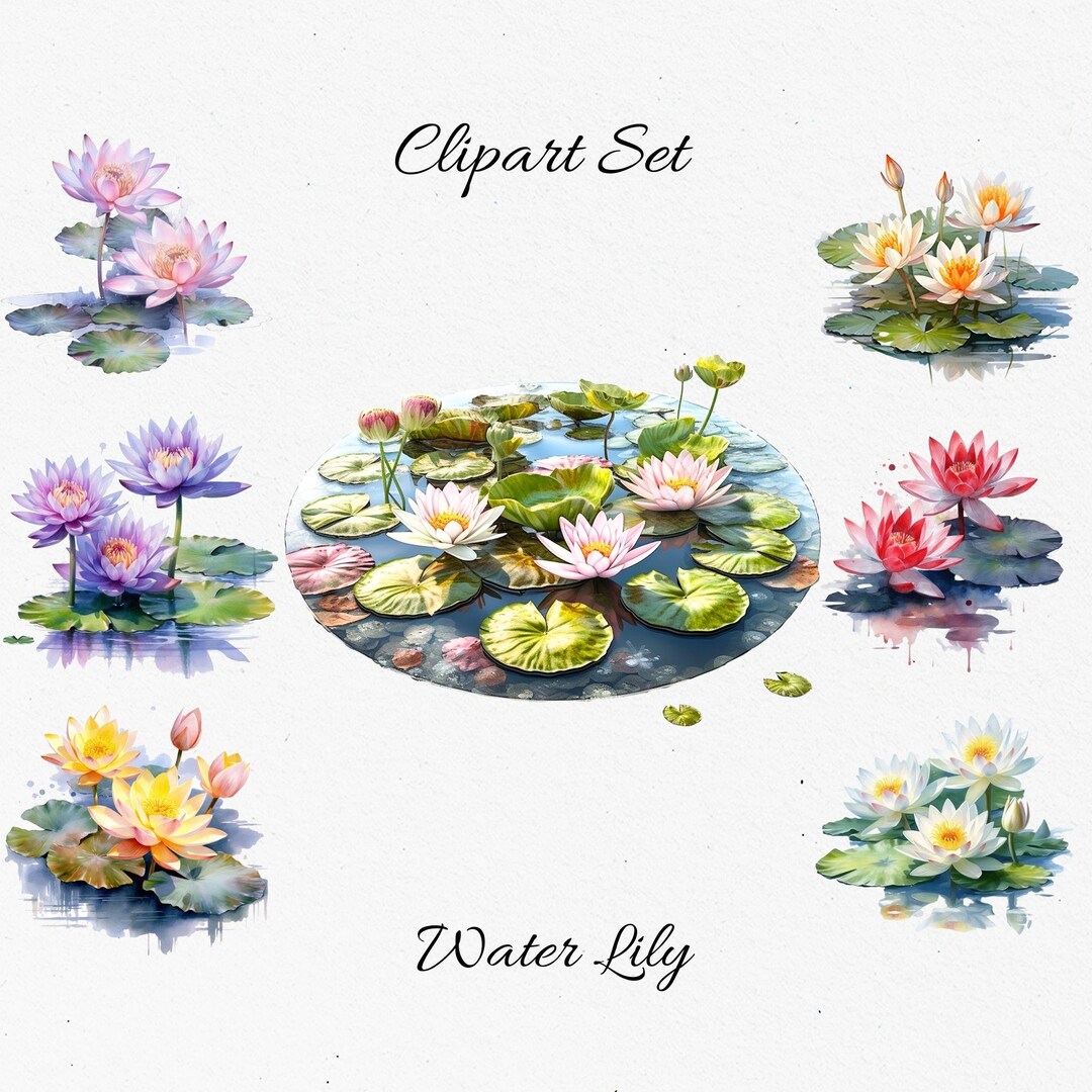 Water Lily, Lotus , Flowers Watercolor Clipart Bundle - Digital ...