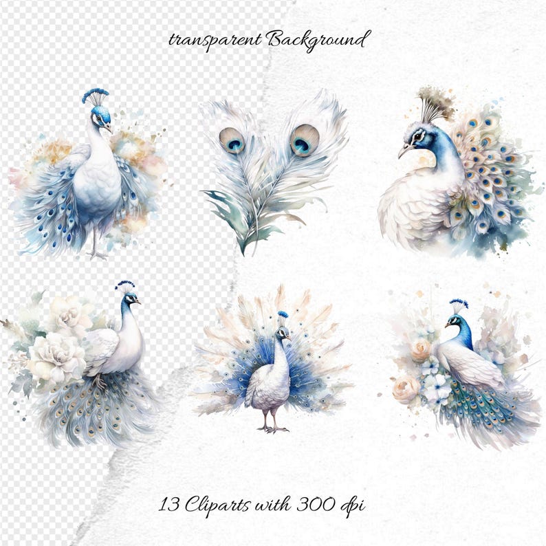 White Peacock, Wildlife, Tropical Animals Watercolor Clipart Bundle ...
