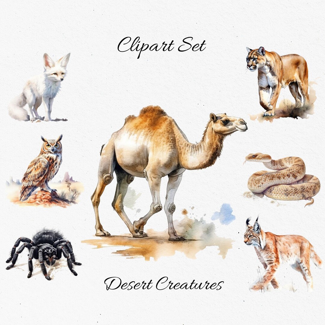 Desert Creatures , Wildlife, Animals Watercolor Clipart Bundle ...