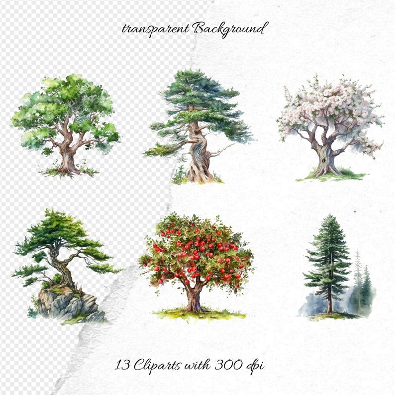 Trees, Forest, Nature Watercolor Clipart Bundle - Digital Download ...