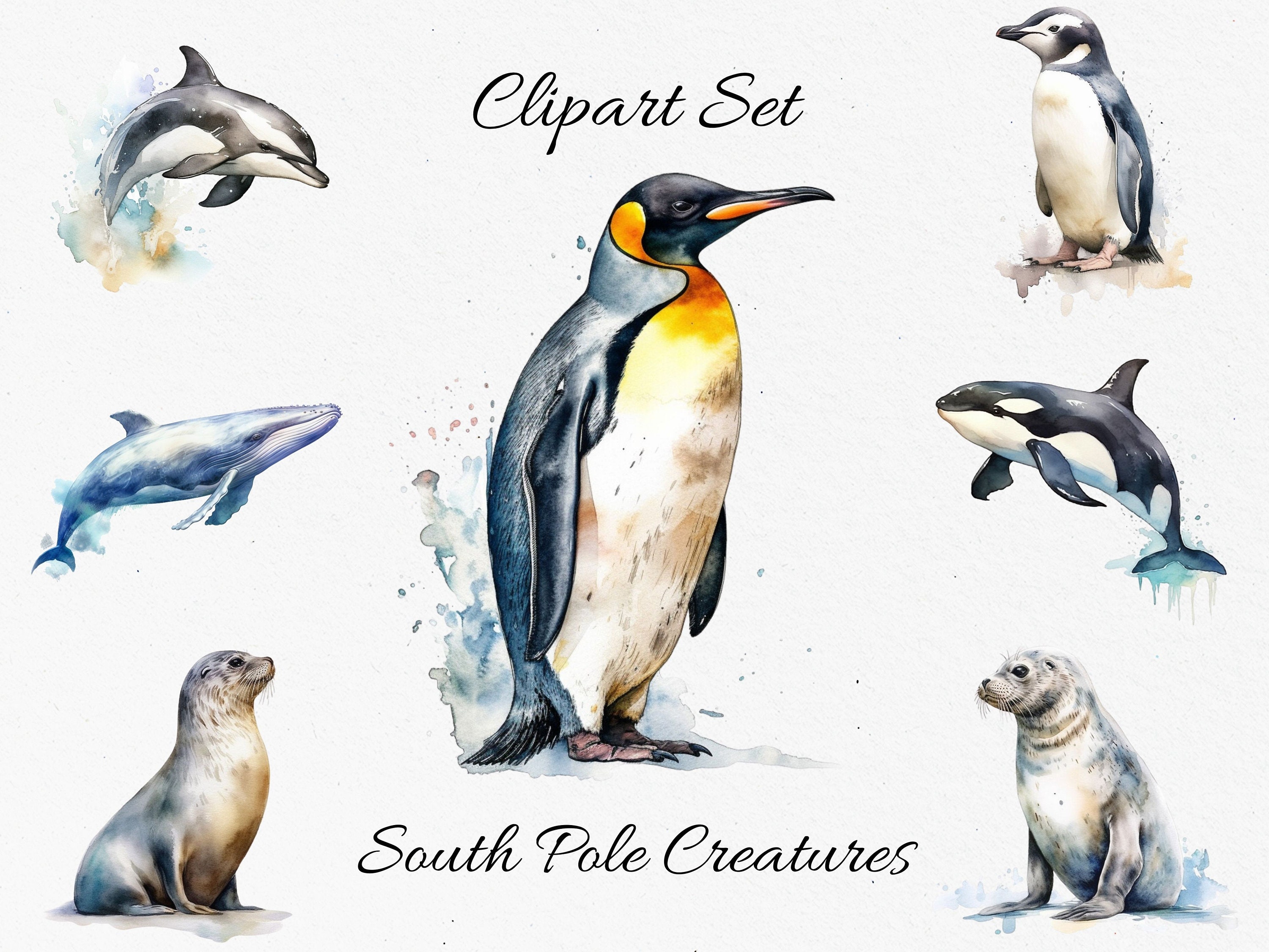 South Pole Creatures , Antarctic Wildlife, Animals Watercolor Clipart ...