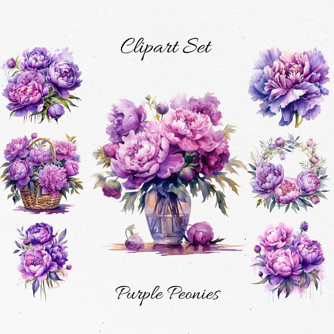 Purple Peonies , Flowers , Watercolor Clipart Bundle - Digital Download ...
