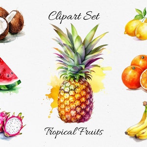 Tropical Fruit , Food , Watercolor Clipart Bundle Digital Download ...