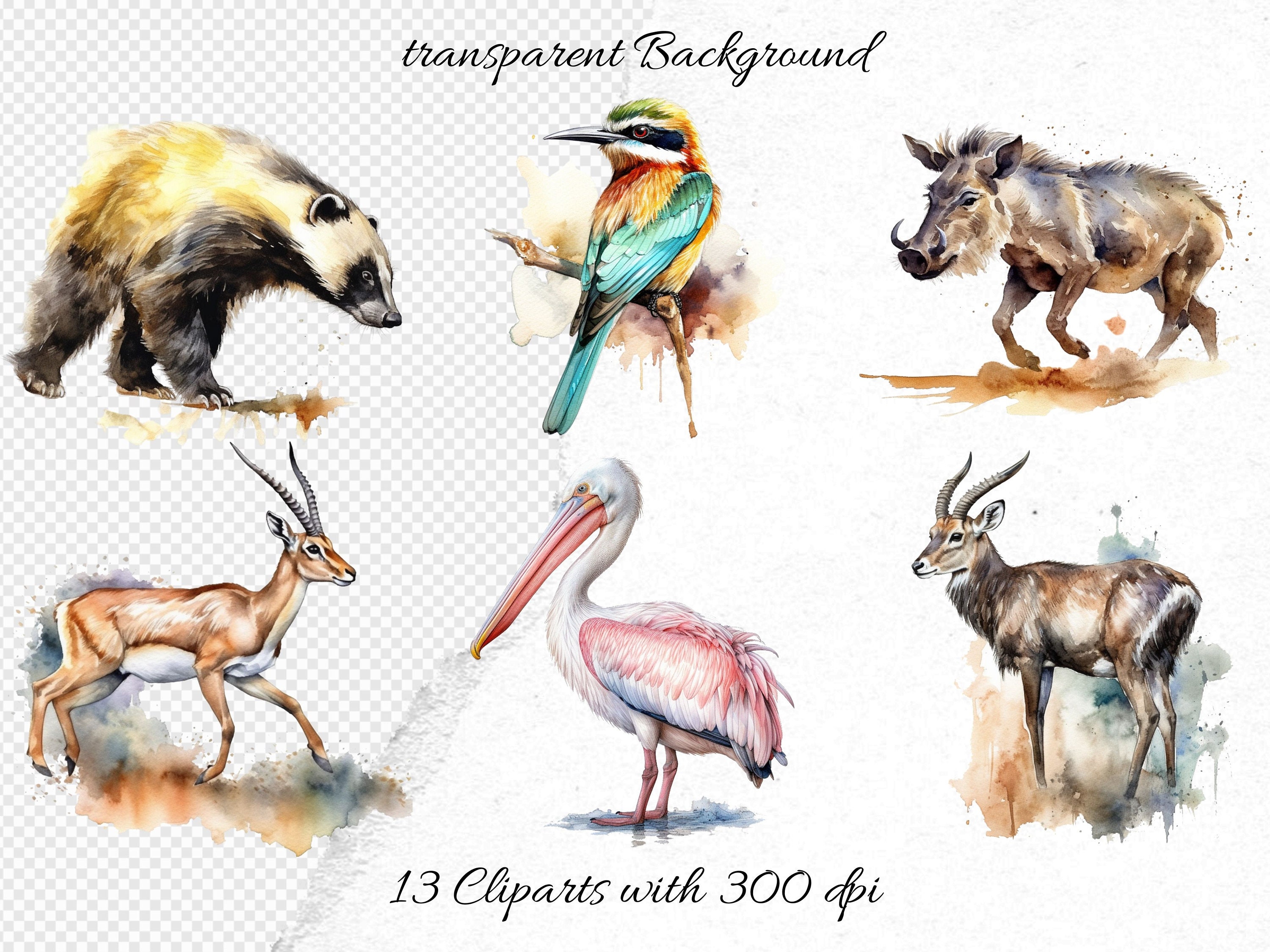 African Creatures 2 , Wildlife, Safari Animals Watercolor Clipart ...