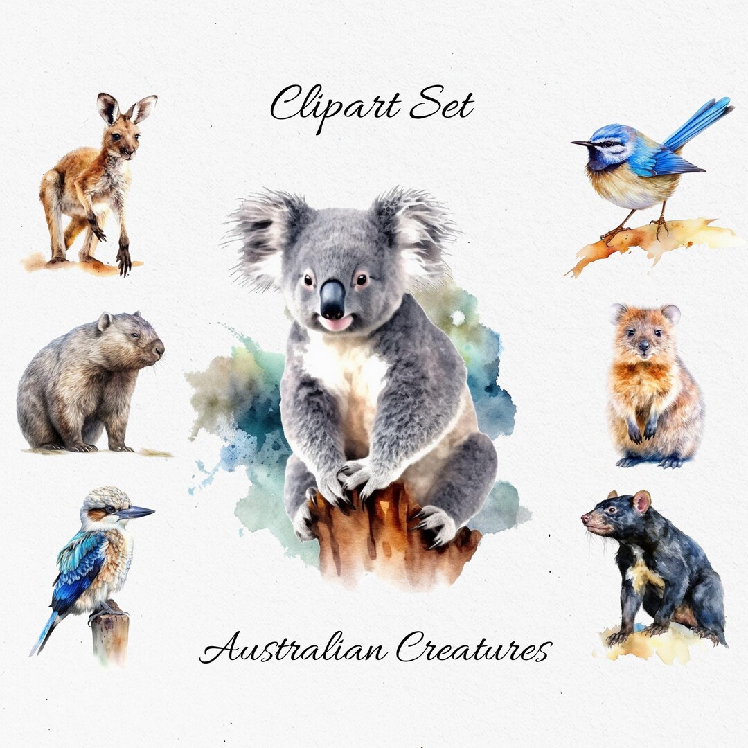 Australian Creatures , Wildlife, Animals Watercolor Clipart Bundle ...