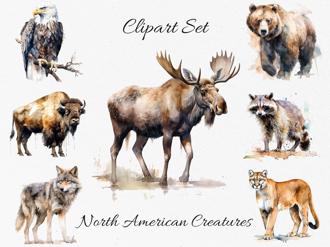North American Creatures, Wildlife, Animals Watercolor Clipart Bundle ...
