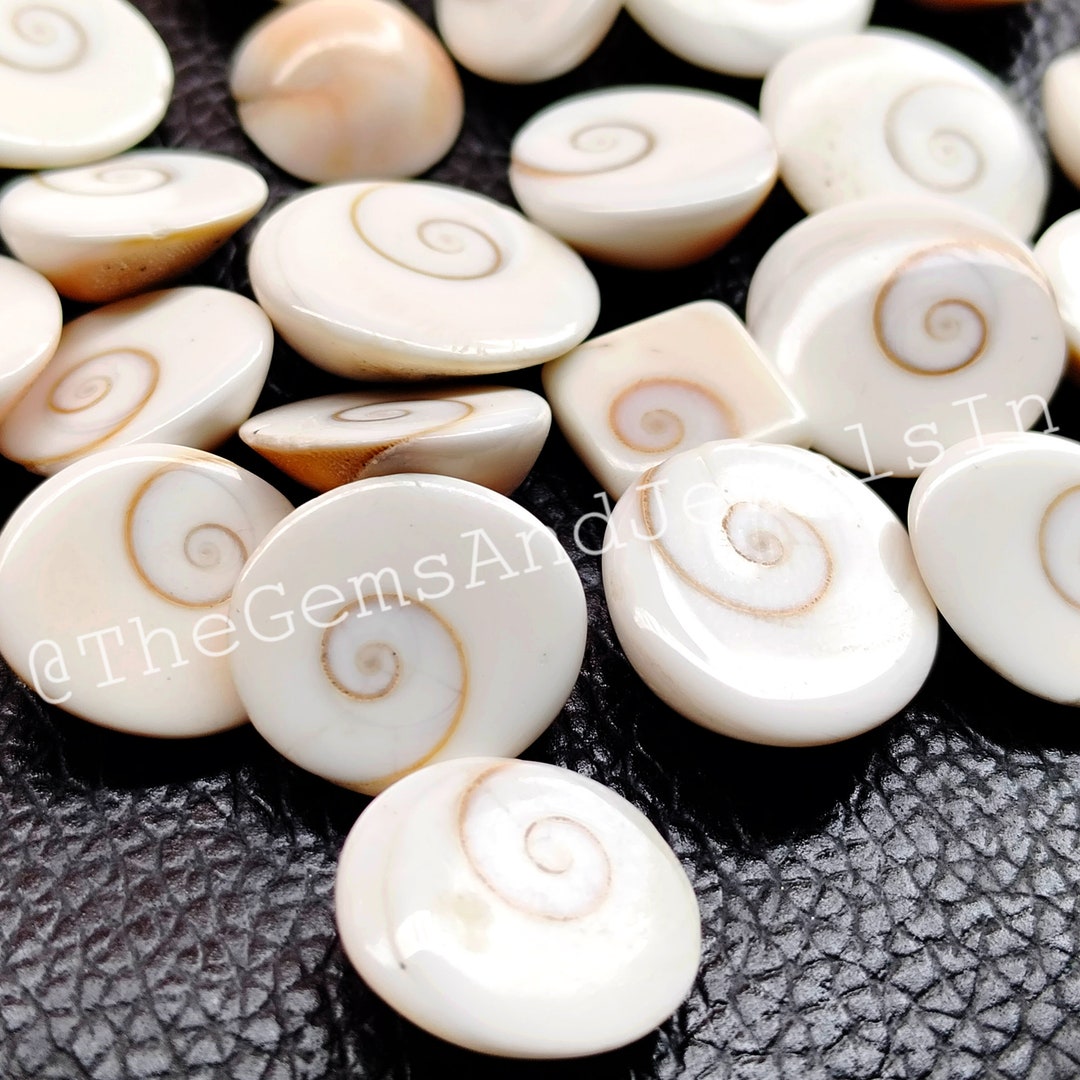 Wholesale Shiva Eye Gemstone, Shiva Eye Shell Cabochon Lot, Natural ...