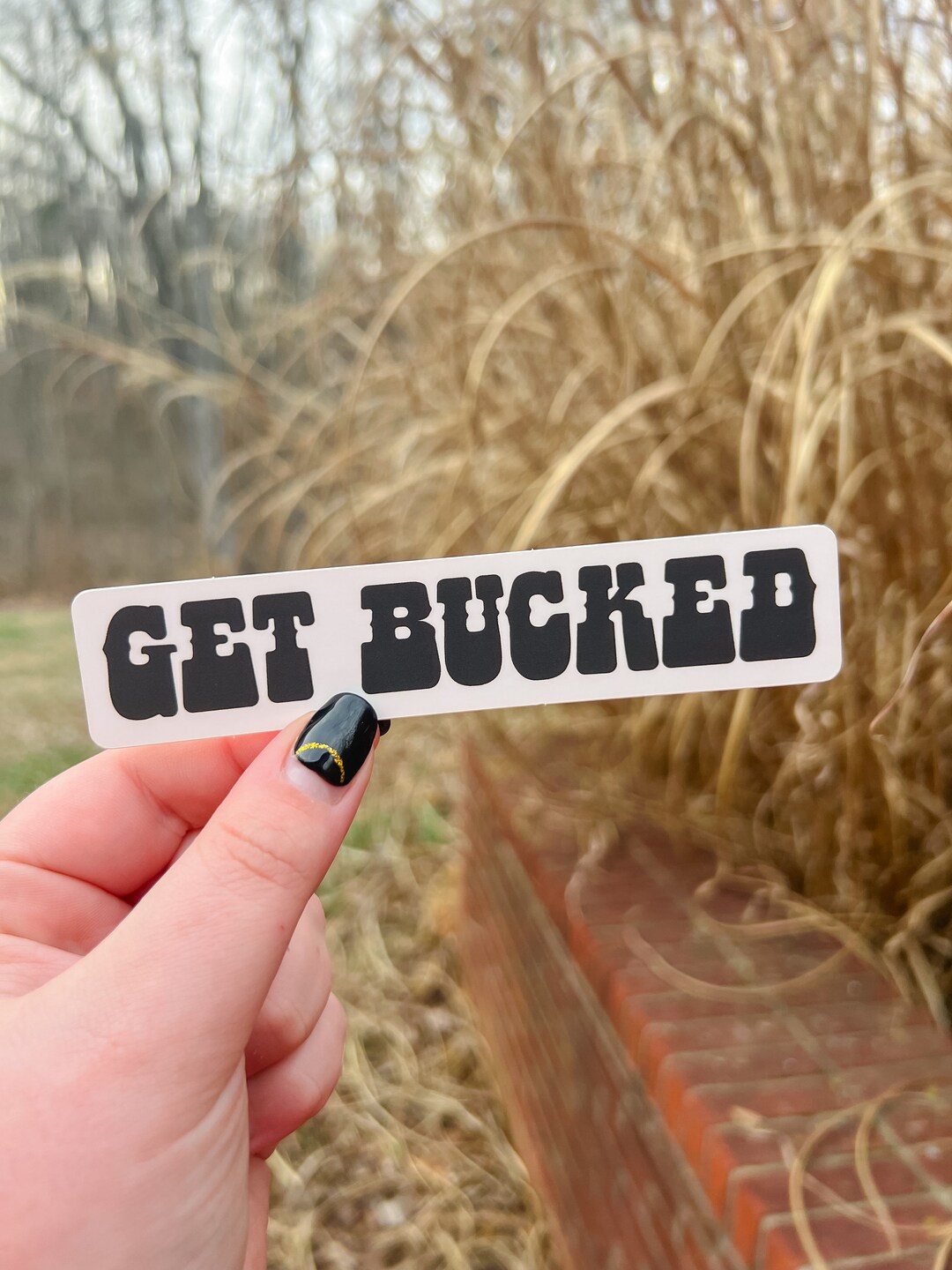 Get Bucked Bronco Sticker - Etsy