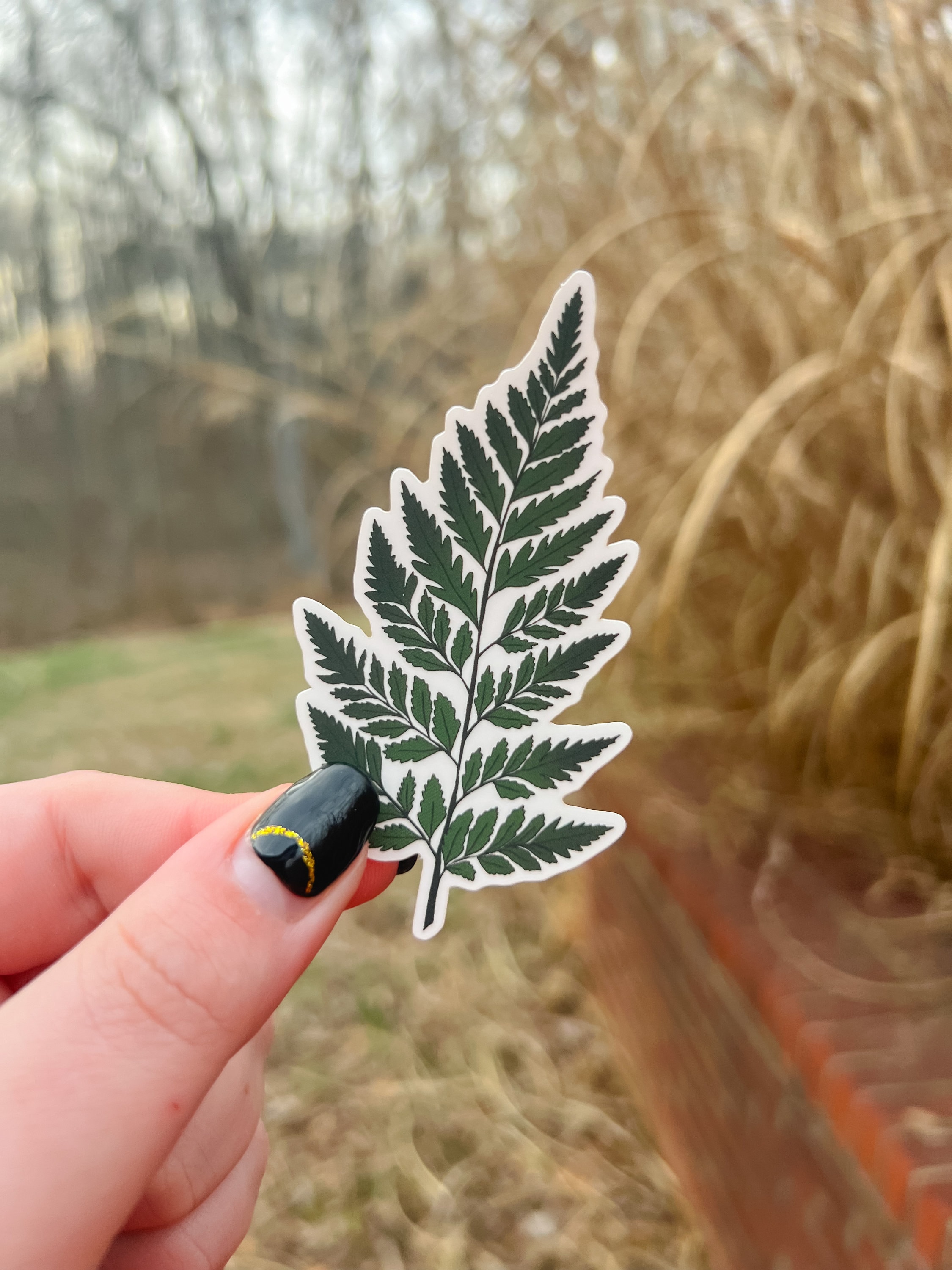 TRANSPARENT Fern Sticker - Etsy