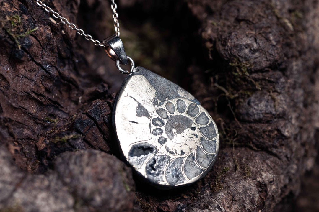 Ammonite With Pyrite With 925 Chain/ Forest Lights Natural Jewelry ...