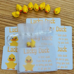 Lucky Duck, Novelty Duck, Class Gift, Teacher Gift, End of Year Gift ...