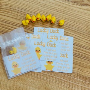 Lucky Duck, Novelty Duck, Class Gift, Teacher Gift, End of Year Gift ...