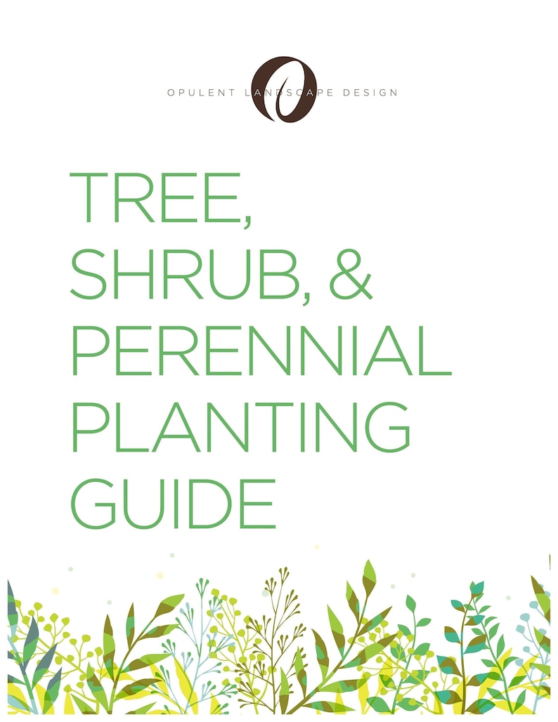 Planting Guide for Tree Shrub Perennial and More Ebook - Etsy