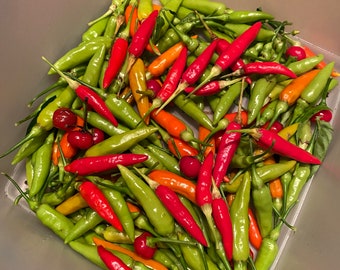 Aji Picante Puerto Rico - Etsy