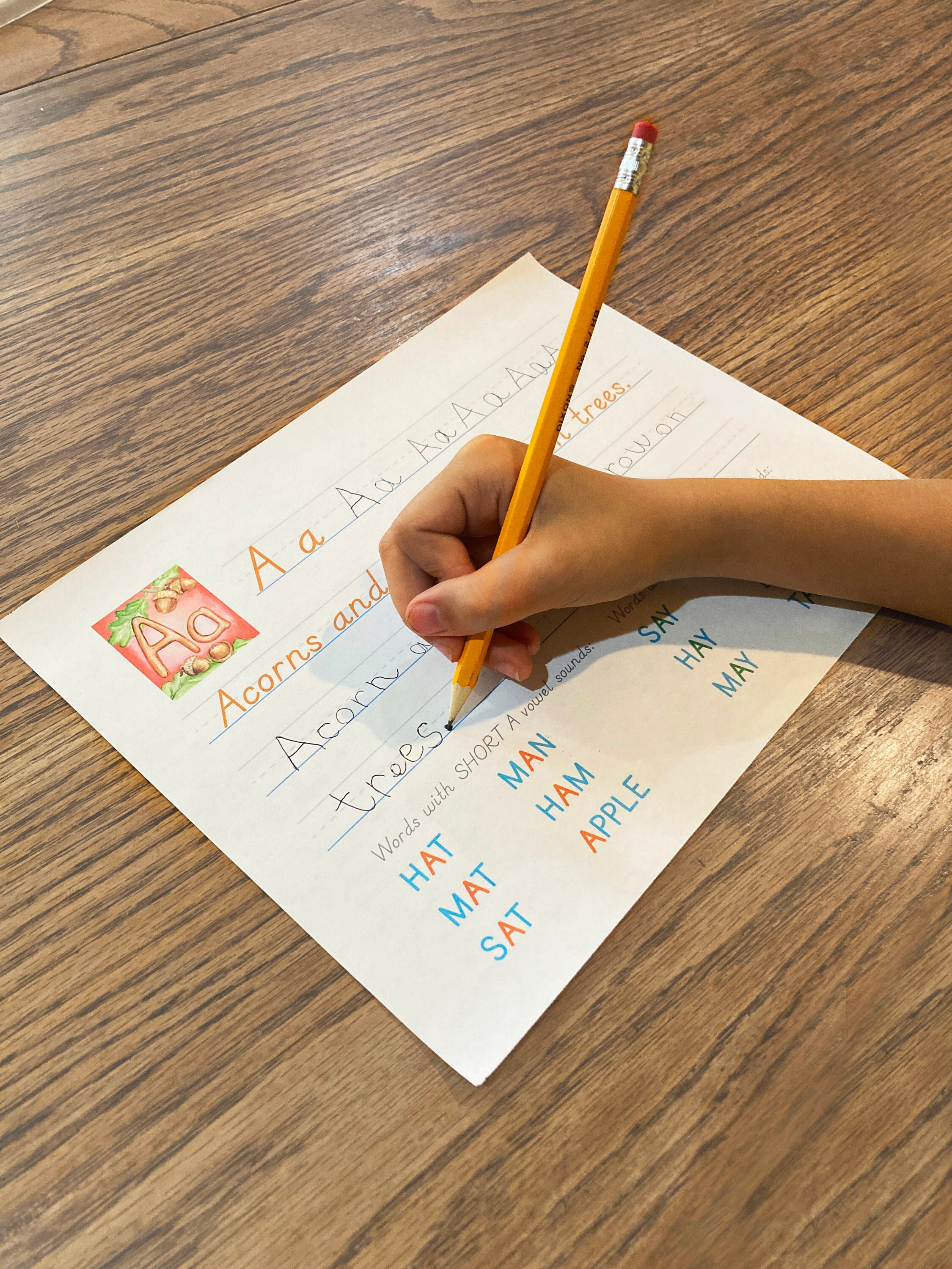 Reading & Writing Practice Pages / Alphabet / Waldorf / - Etsy