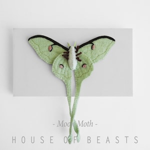 Moon Moth/ Lunar Moth. DIY Magnetic or Hanging Felt Animal. Sewing ...