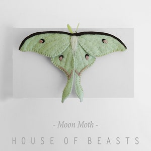 Moon Moth/ Lunar Moth. DIY Magnetic or Hanging Felt Animal. Sewing ...