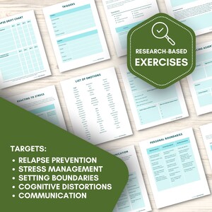 Sobriety Journal AA Recovery Journal Mental Health Plan Addiction ...