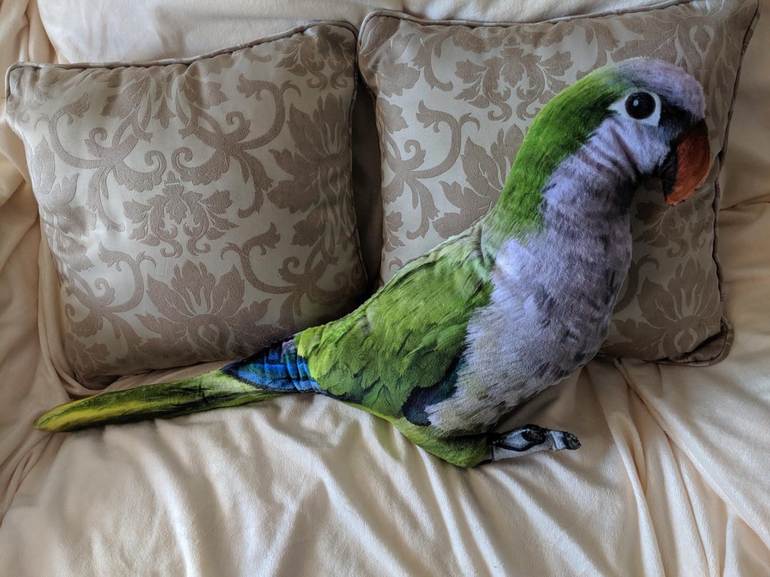 Quaker Bird Plush Pillow, Monk Parakeet Bird Cushion, Parrot Plushie ...