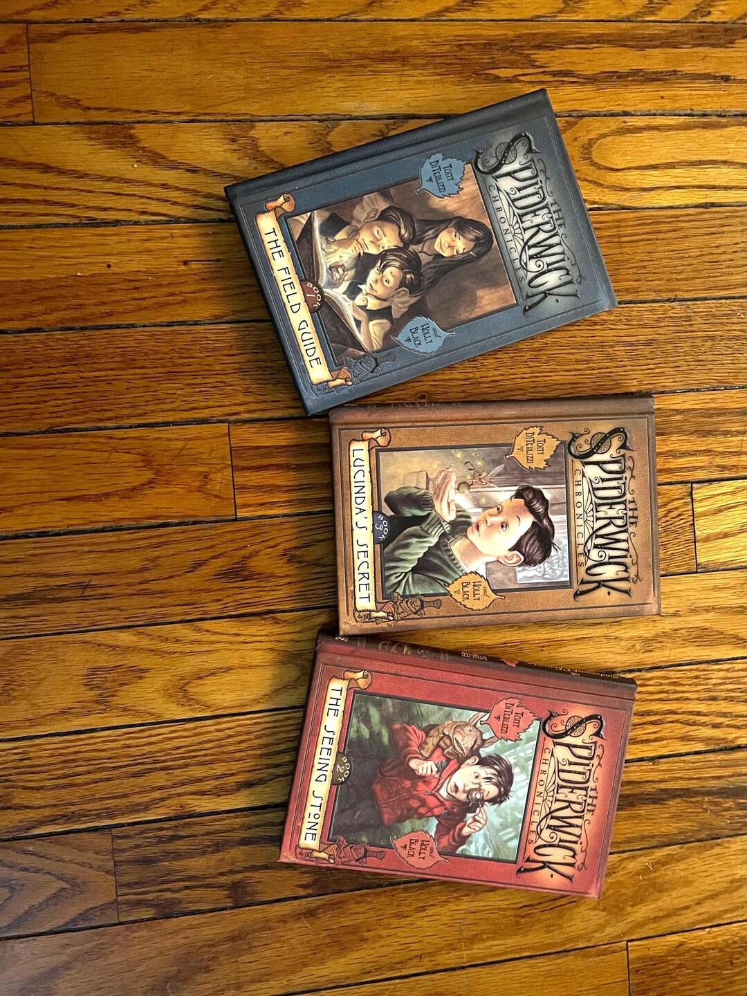 Spiderwick Chronicles Book Set - Etsy