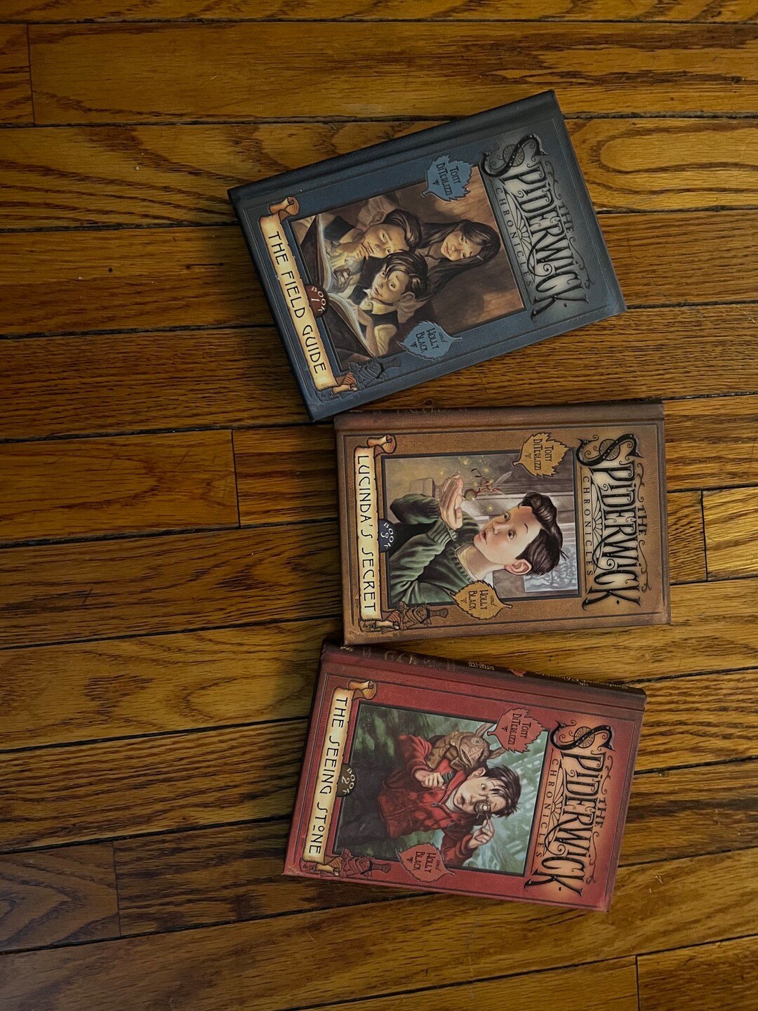 Spiderwick Chronicles Book Set - Etsy