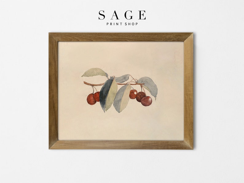 Cherry Print | Botanical Wall Art | Cherry Branch Vintage Watercolor ...